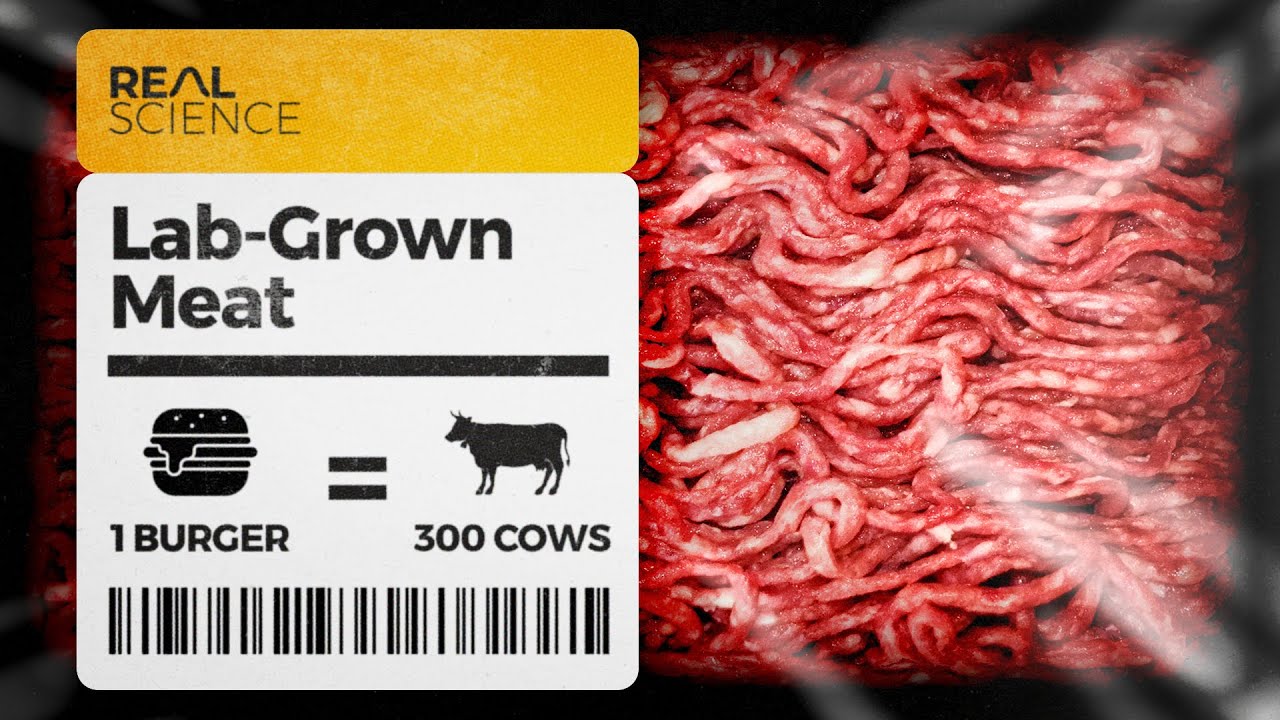 3D-Printed, Lab Grown Meat Coming Soon to a Store Near You – Rants of Izzo